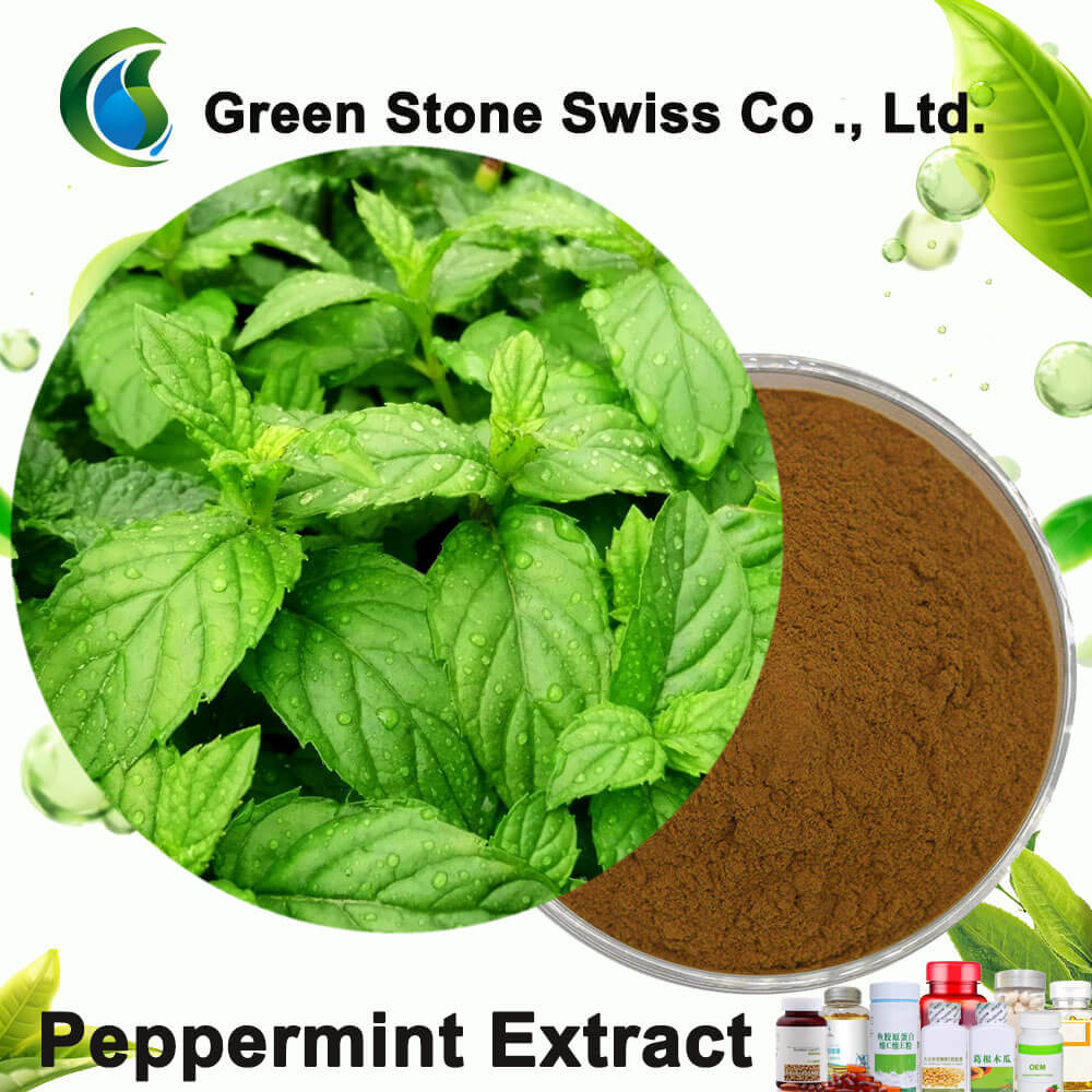 Buy Peppermint Extract At Factory Price - Supplier,Manufacturer From ...
